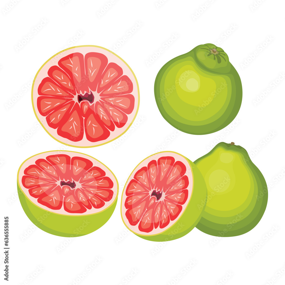 Vector illustration red, green and yellow pomelo in cartoon flat style ...