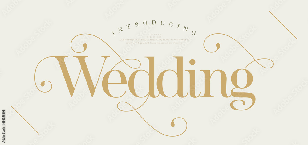 Wedding alphabet letters logos font with tails. Typography elegant ...