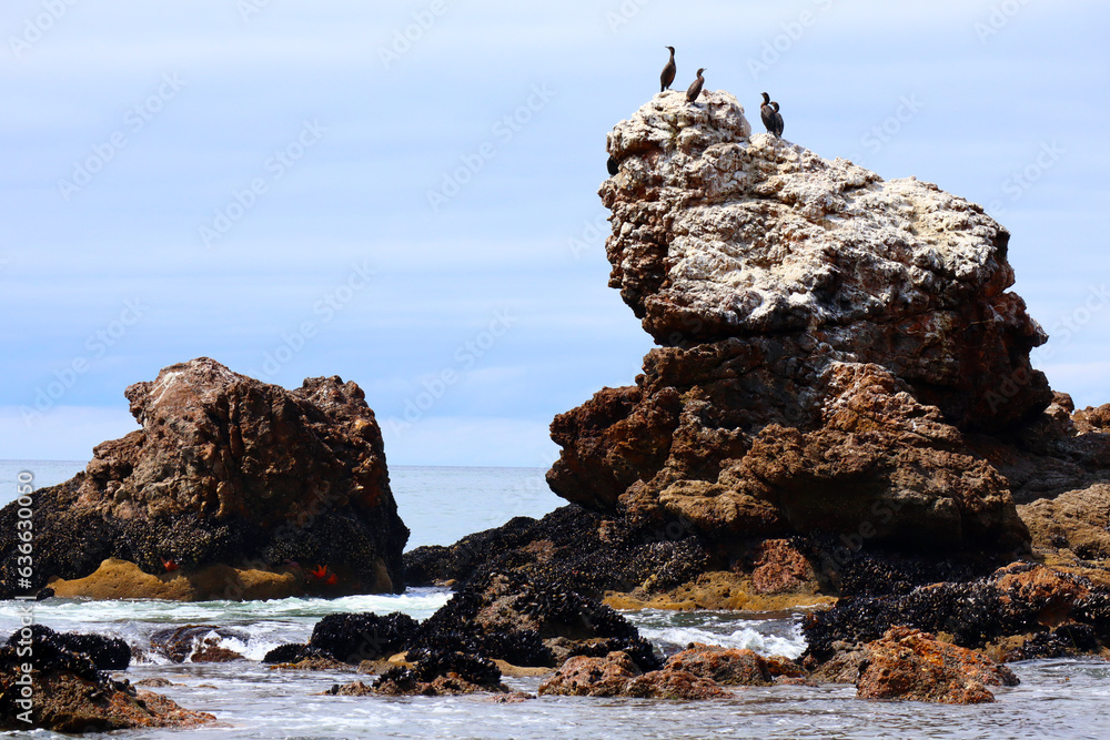 MALIBU (California), detail view of BIG ROCK BEACH located at 20000 ...