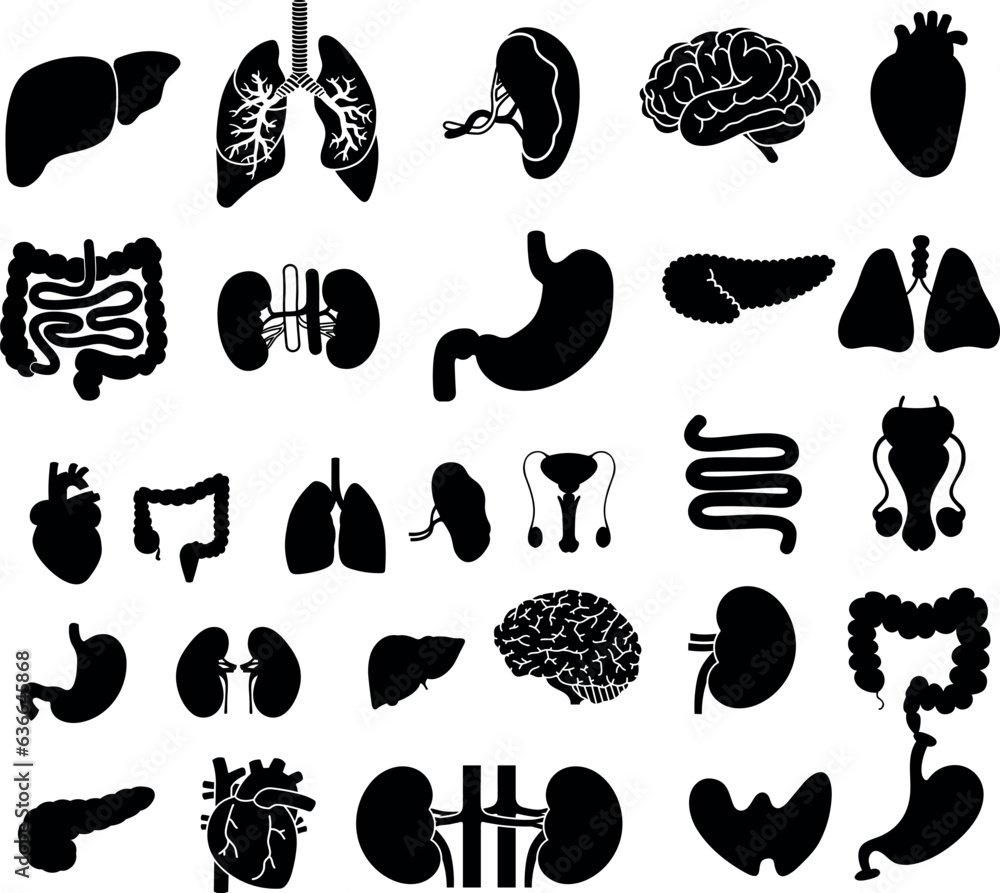 Vetor de Digestive Health System Parts Silhouette, Human Body Parts ...