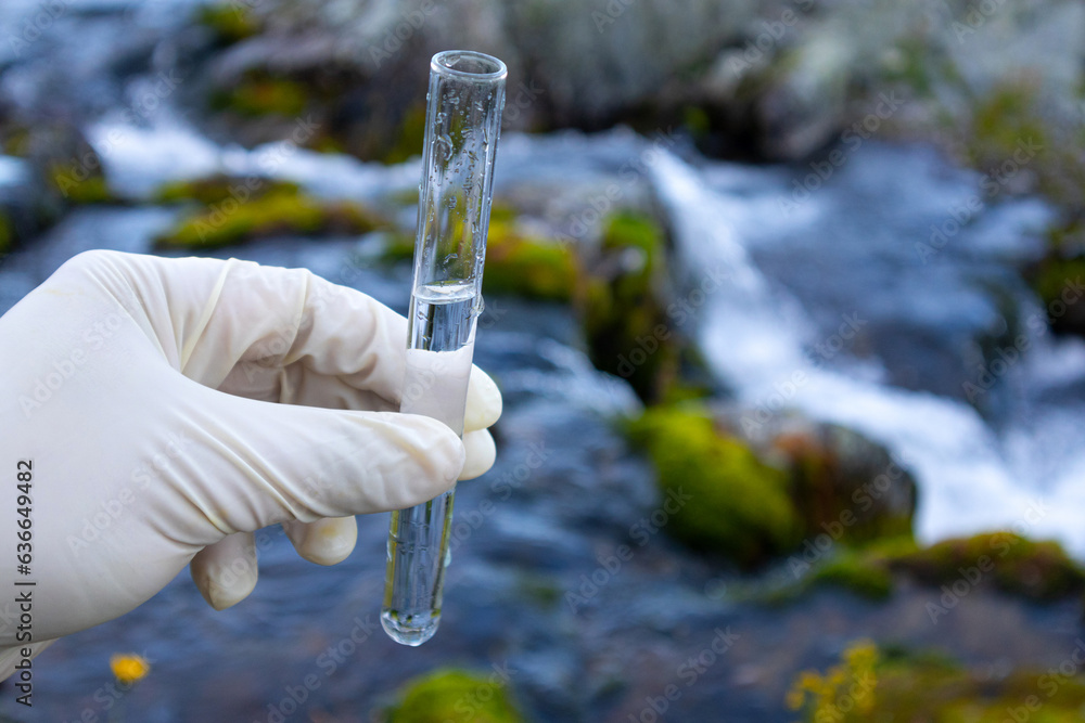 Water sample. Hand holding a test tube with water in nature. Water ...