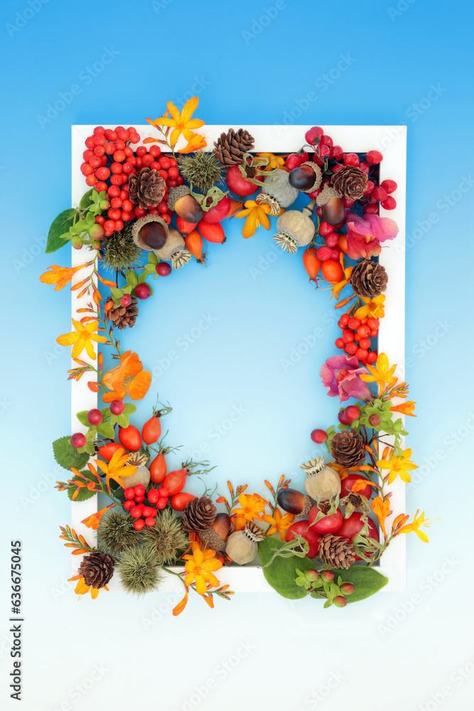 Thanksgiving Autumn Fall festive nature concept background frame with ...