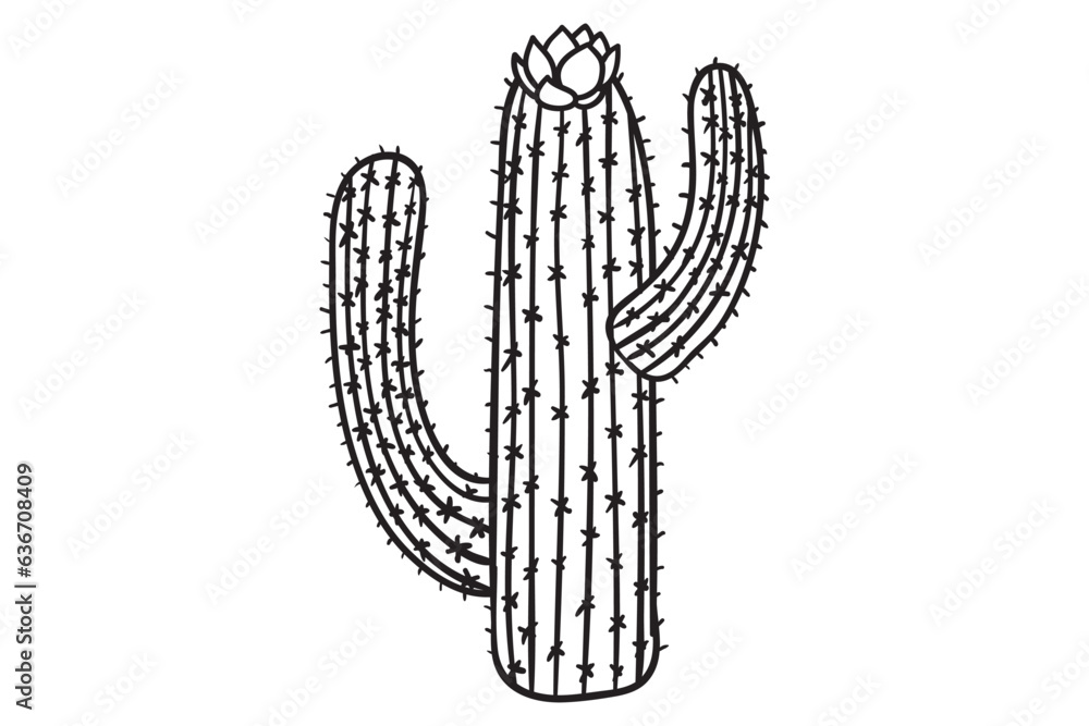 Cactus SVG, Cactus clipart, Cactus cut file, Cactus vector, Cactus ...