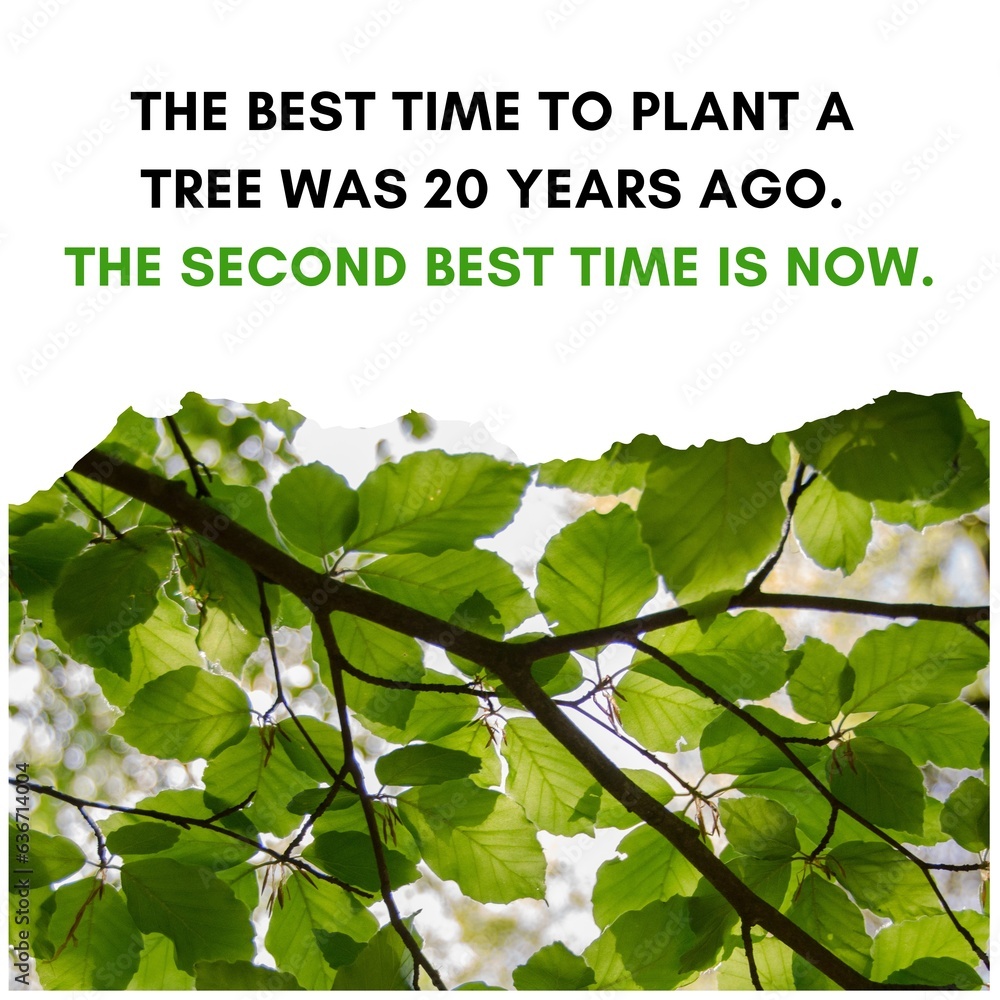 Nature quote, the best time to plant a tree was 20 years ago the second ...