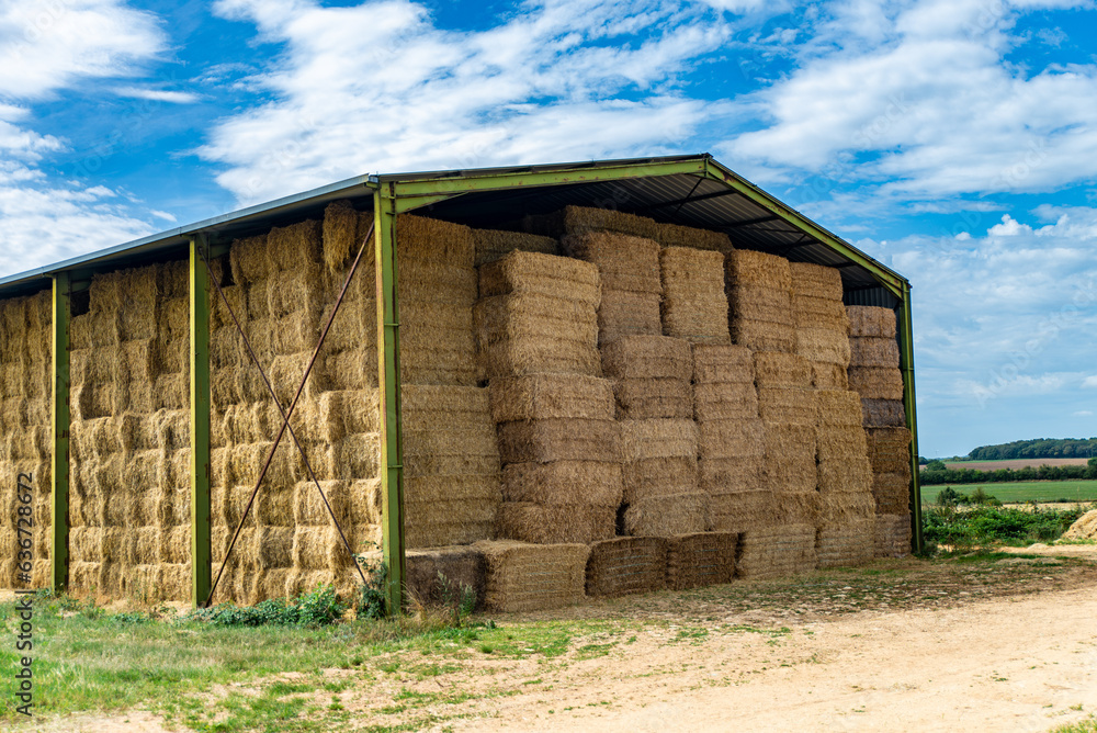 Hangar ouvert après la récolte de ballots de paille en été Stock Photo ...