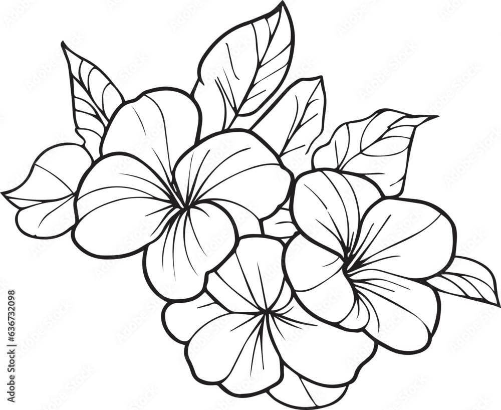 Cute flower coloring pages, primrose drawing, evening primrose ...