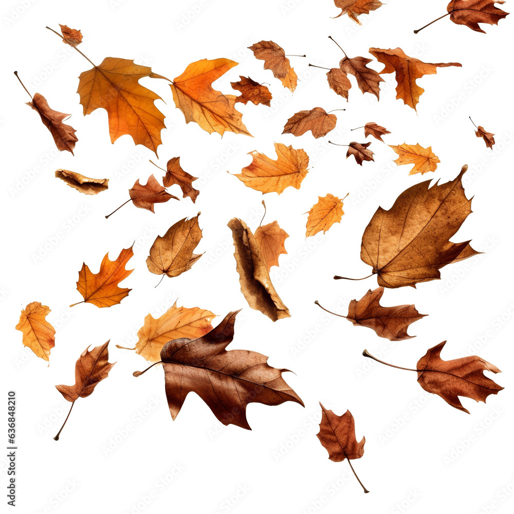 autumn dry leaf leaves moving with wind transparent png isolated on ...