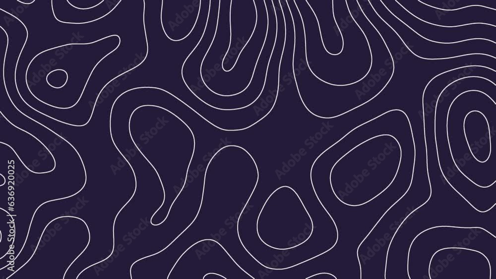 4k Abstract animated outline topographic contour map background motion ...