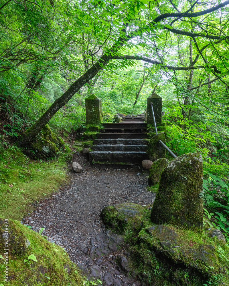 Scenic sight in the famous Kanmangafuchi Abyss in Nikko. Tochigi ...