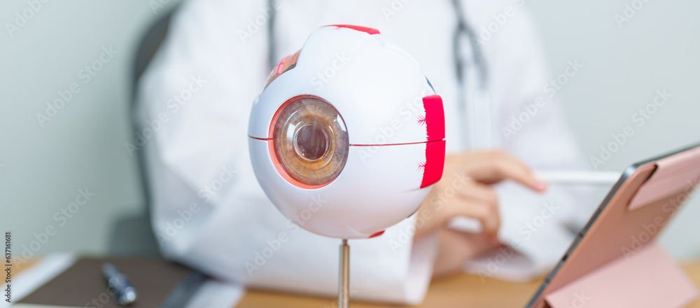 Doctor with human Eye anatomy model with magnifying glass. Eye disease ...