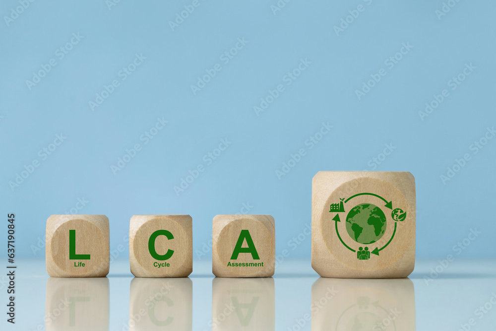 Growing sustainability. LCA-Life cycle assessment concept.LCA Text and ...