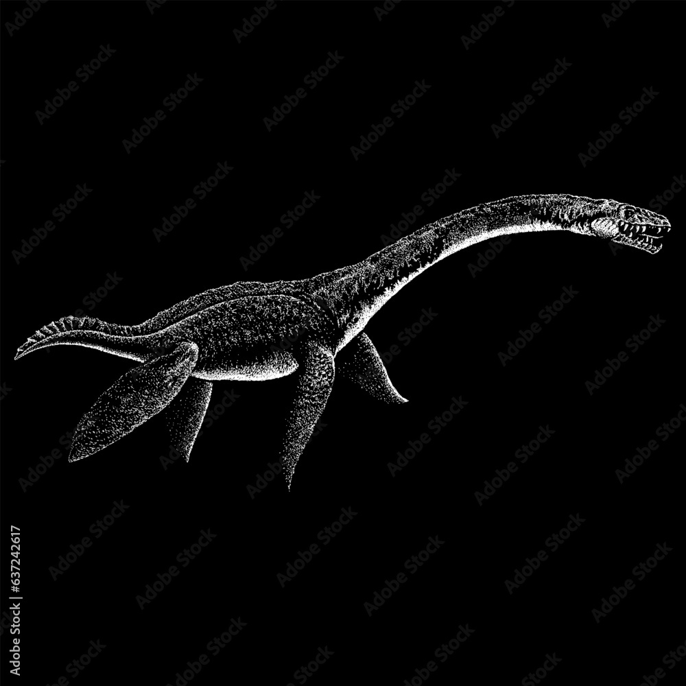 Elasmosaurus hand drawing vector isolated on black background. Stock ...