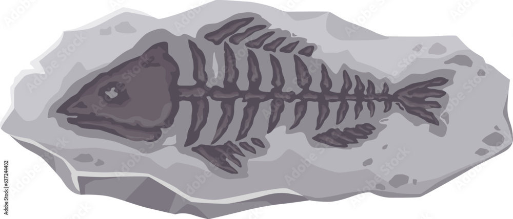 Dinosaur fossil, ancient fish skeleton stone imprint. Prehistoric sea ...