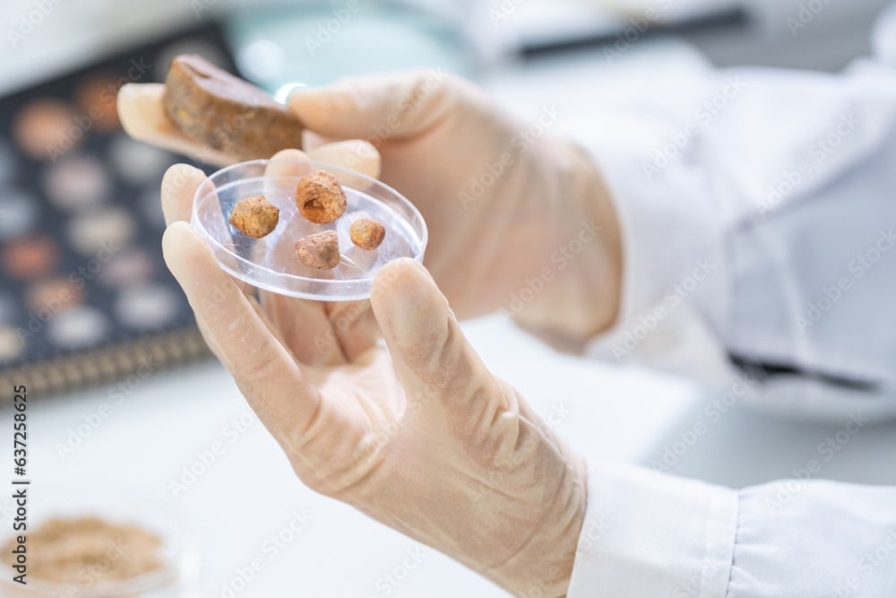 Rock sample in geology science laboratory research, mineral soil test ...