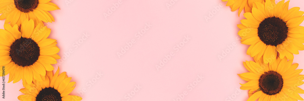 Banner With Border Frame Made Of Yellow Sunflowers On A Pink Background