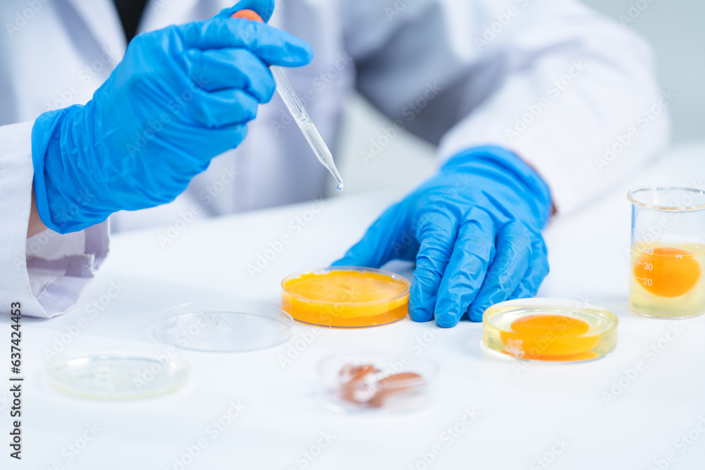 laboratory of chicken egg in agriculture manufacturing industry or food ...