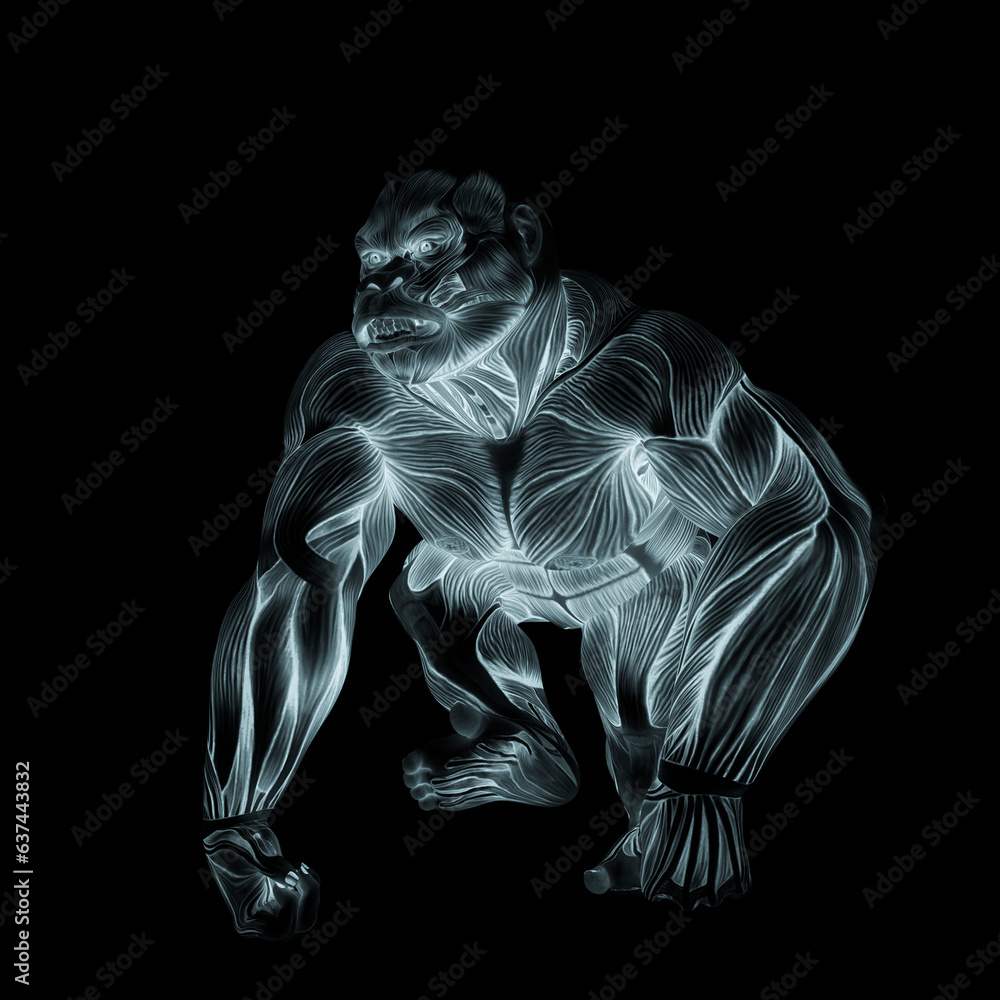 gorilla is doing a knuckles walking front view on muscle map anatomy ...