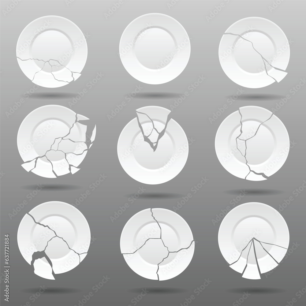 Broken white plates with varying degrees of damage and one whole plate ...