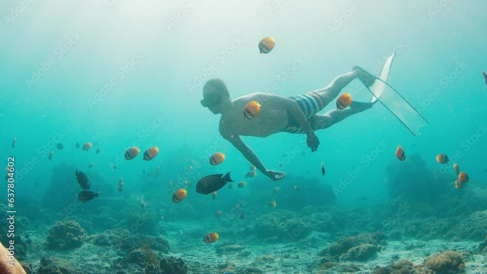 Male freediver. Asian male freediver swims underwater and explores the ...