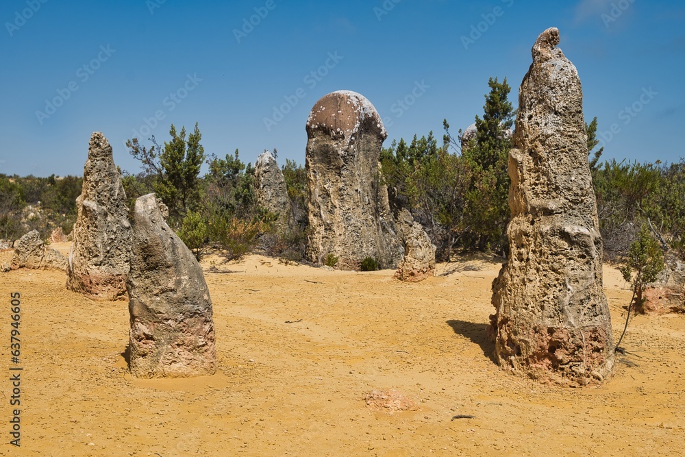 Many big limestone pillars in the Pinnacles Desert, Western Australia ...