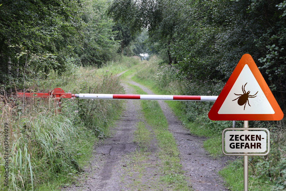 Warning sign for infected ticks in a forest. Risk of tick and Lyme ...