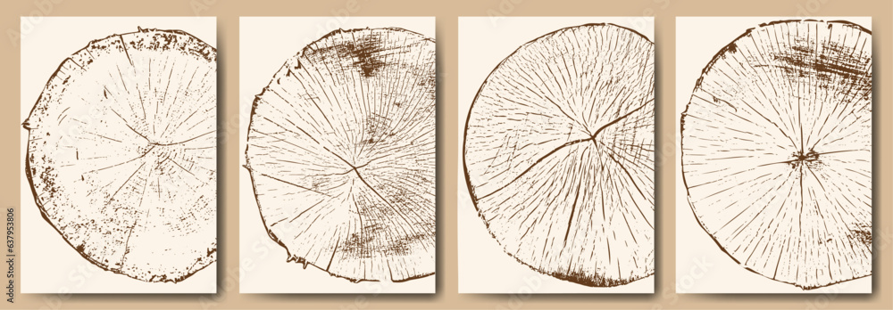 Cross-section of a tree. Set of posters with wood. Ring pattern, growth ...
