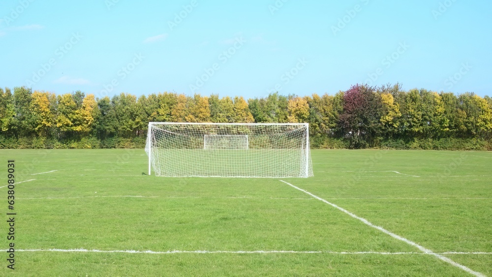 Football soccer goal posts with net on green grass with markings on a ...