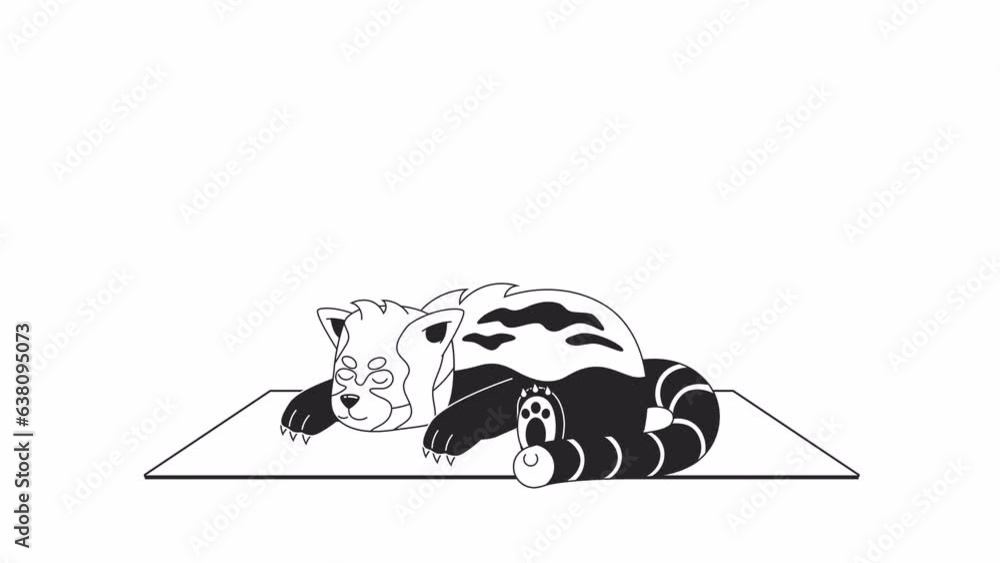 Sleeping red panda lying on mat bw 2D character animation. Tired ...