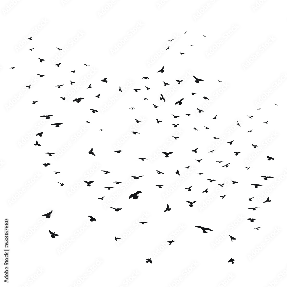 Sketch drawing of a silhouette of a flock of birds flying forward ...