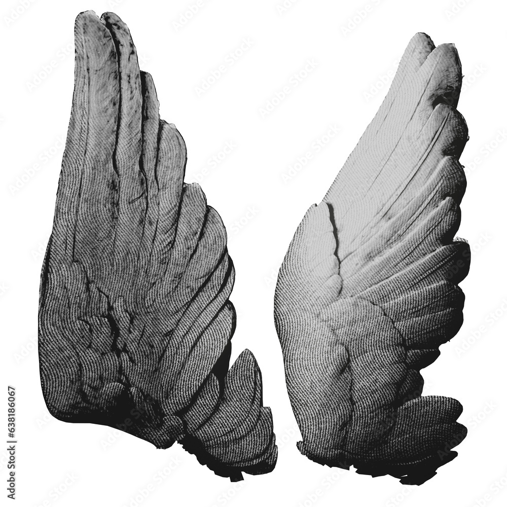 Wings engrave sketch. Hand drawn heraldic bird or angel wings, Scratch ...