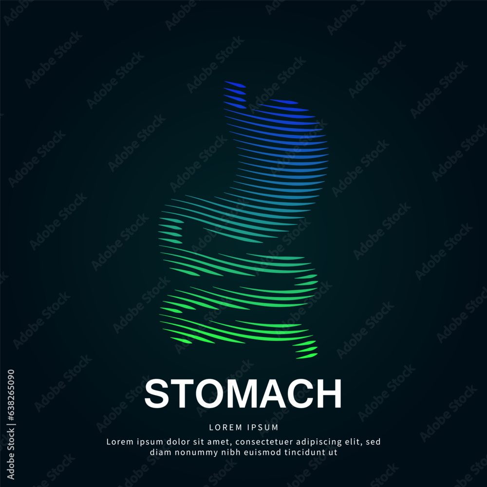 Human stomach medical structure. creative Vector logo stomach color ...