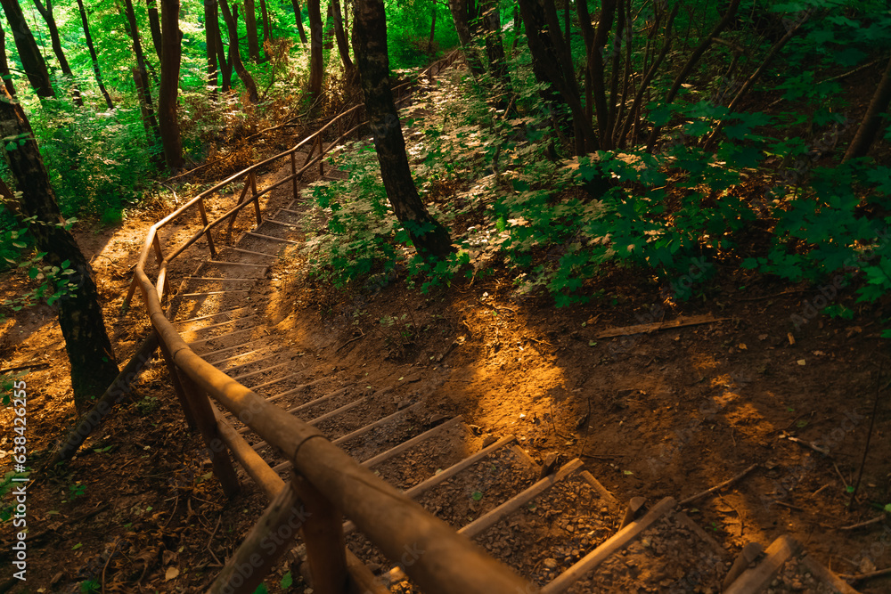 nature golden light foot path on stairs in ground in woods, autumn ...
