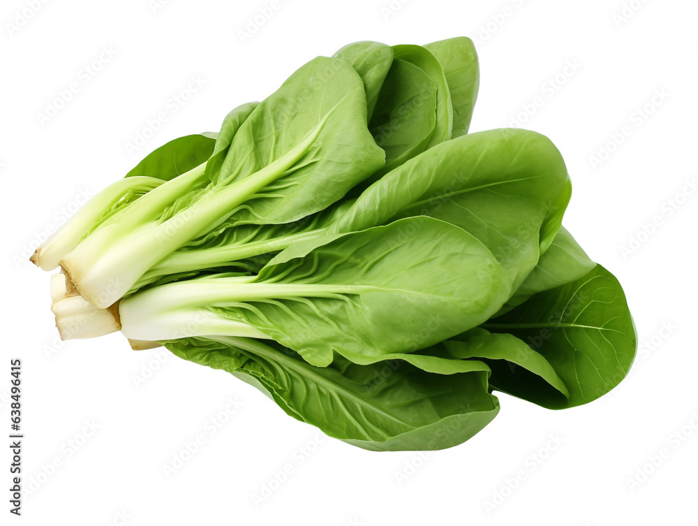 Bok choy, also known as pak choi or Chinese cabbage, is a leafy green ...