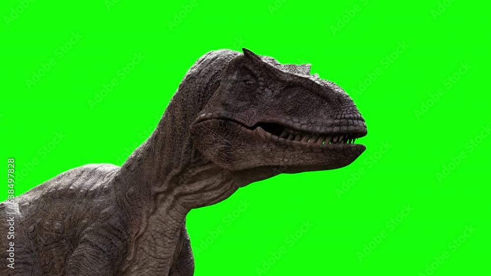 roaring velociraptor on green background. 3d animation of a ...