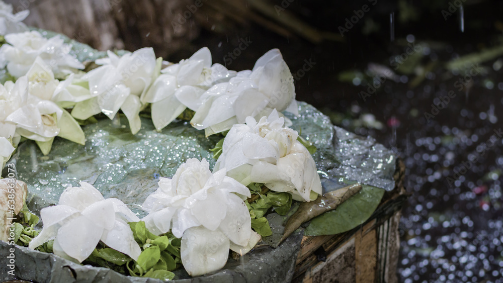 Funeral wreath or garland made of white lotus flower symbolising peace ...