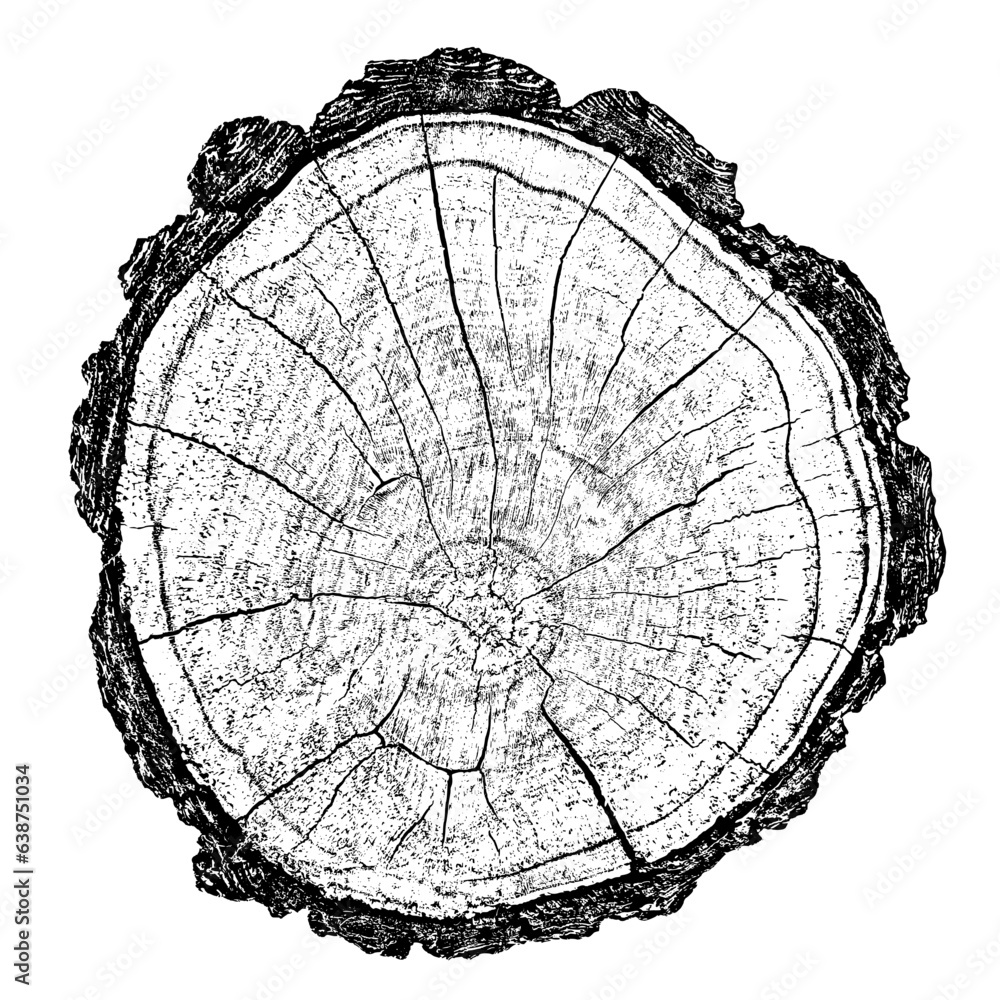 Wood texture cross section of tree rings. Cut slice of wooden stump ...