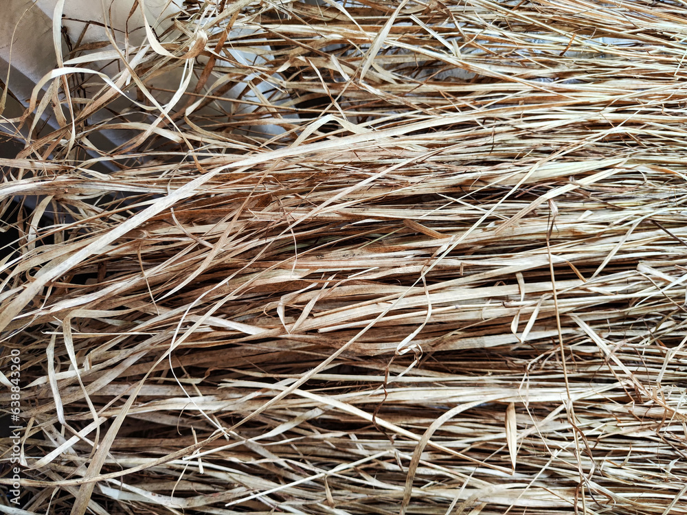 Dry grass, hay, straw laid in rows. Thatched wall background and ...