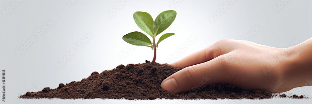 Person hand with ground and tree, sprout, growth, sustainability ...