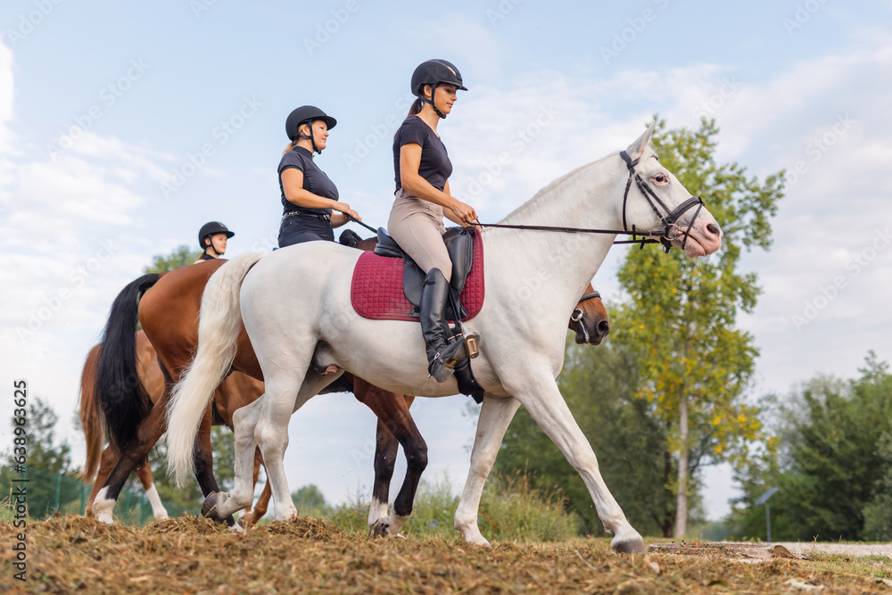 Horsewomen riding beautiful horses along the trail at the equestrian ...