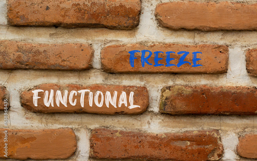 Functional freeze symbol. Concept words Functional freeze on beautiful ...