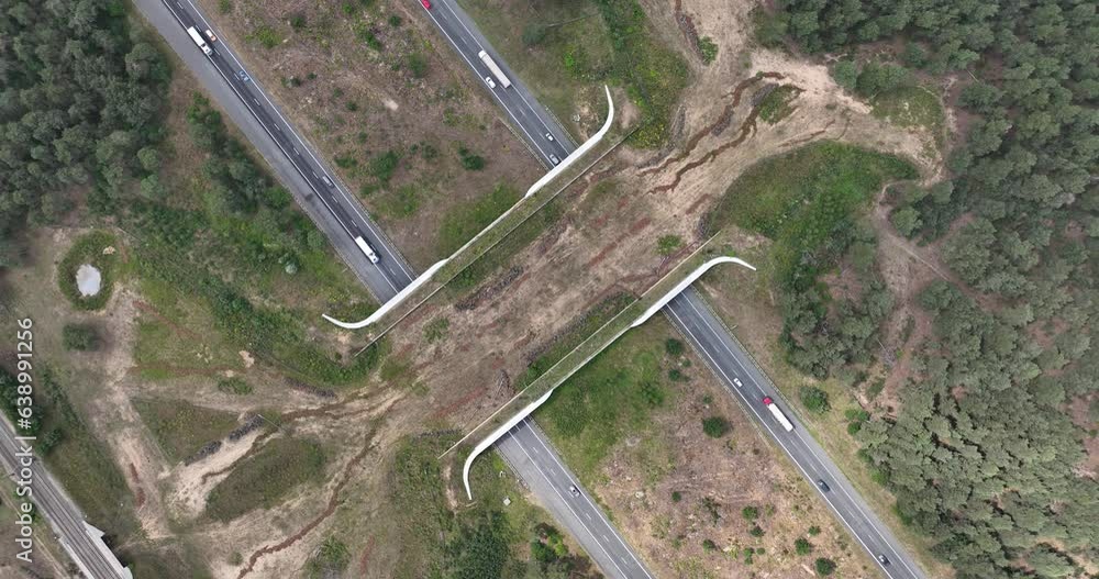 Wildlife crossing over a motorway. Ecoduct corridor bridge for animals ...