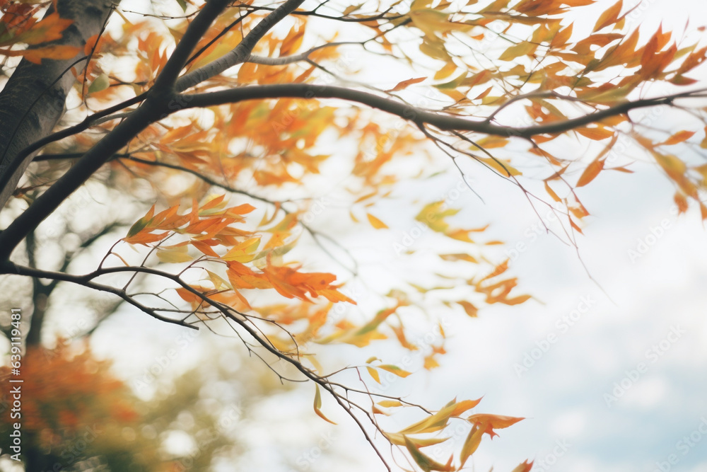 Foto de relationship between trees and the wind, with leaves rustling ...