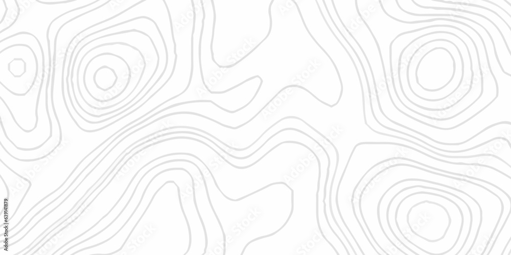 Topographic map background geographic line map with elevation ...