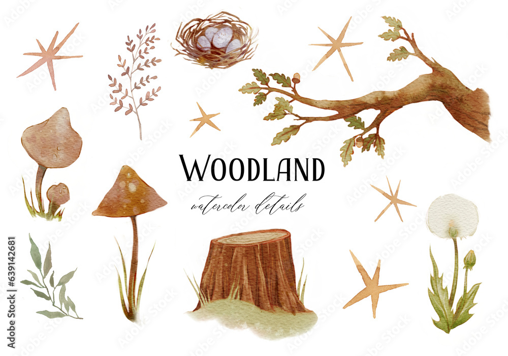 Cartoon nature set. Watercolor hand painted bird nest, herbs, fungi ...