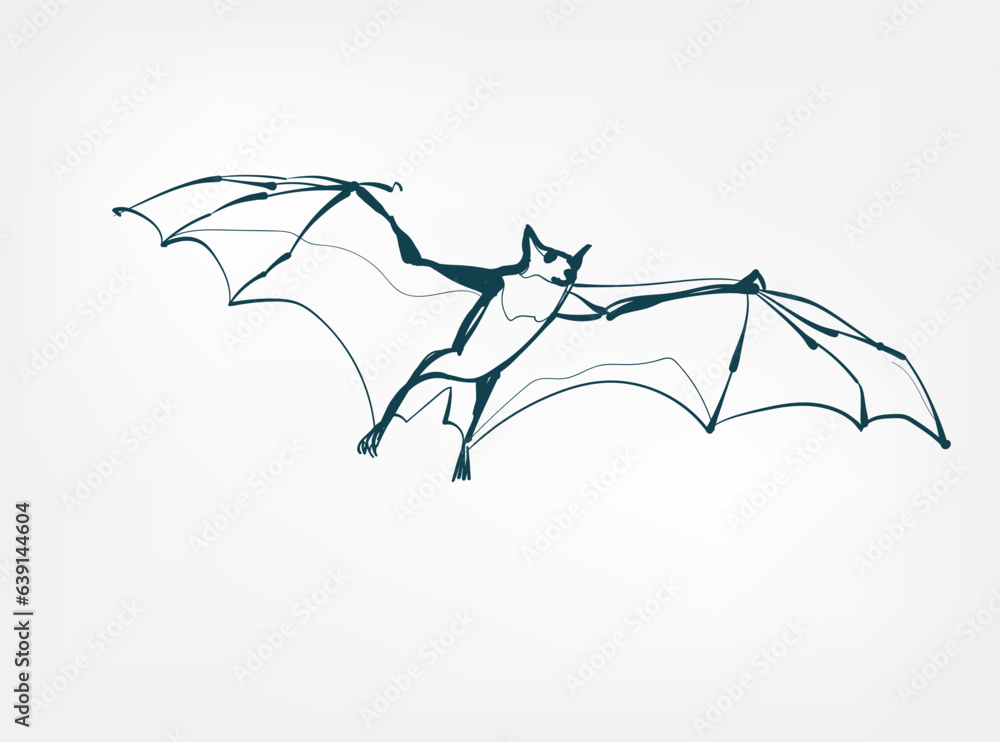 bat vector line art animal wild life single one line hand drawn ...
