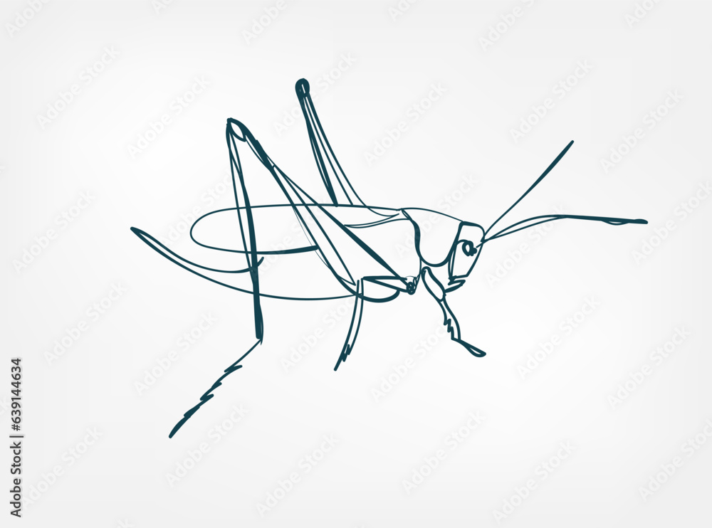 grasshopper vector line art animal wild life single one line hand drawn ...