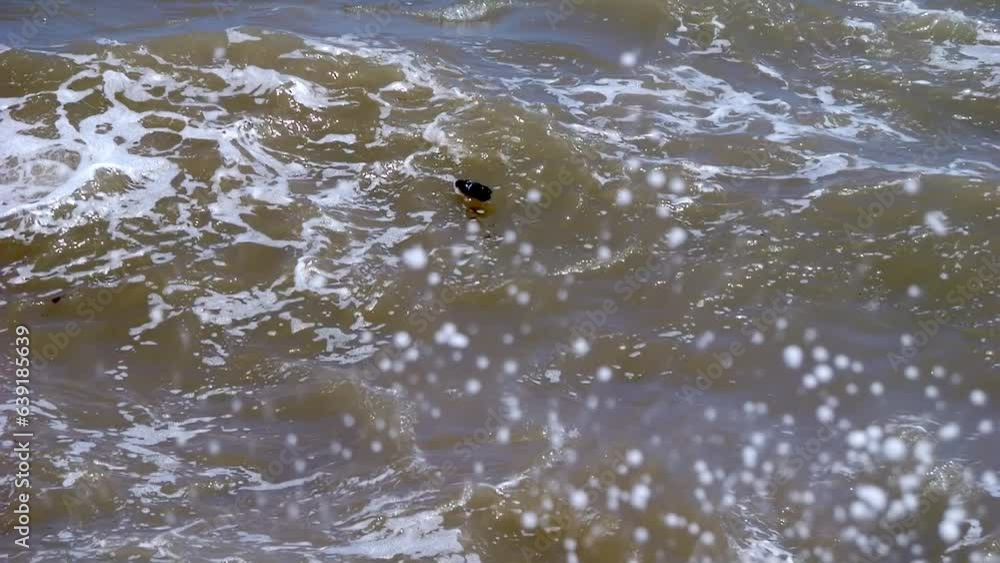 Ocean surface with a plastic bottle, depicting marine microplastic ...