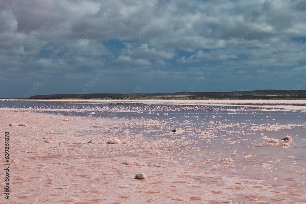 Foto de Mineral structures of a salt lake create a surreal-looking ...