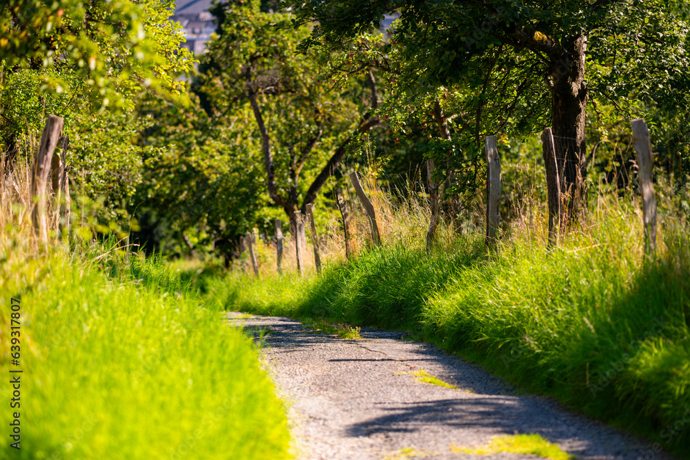 Idyllic footpath in Meschede Sauerland, Germany. Romantic gravel road ...