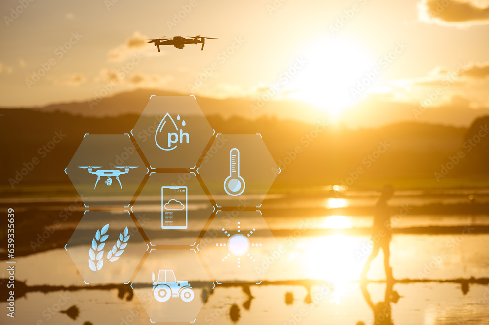 IoT with Smart farming , Growing rice farming with Infographics Smart ...